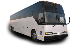 Sports Team Bus Rentals - Team Transportation Services for Large Groups